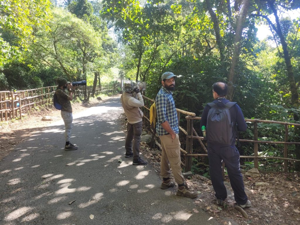 Hide Photography | Birding South India