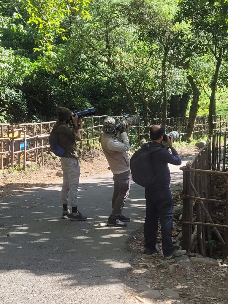 Hide Photography | Birding South India